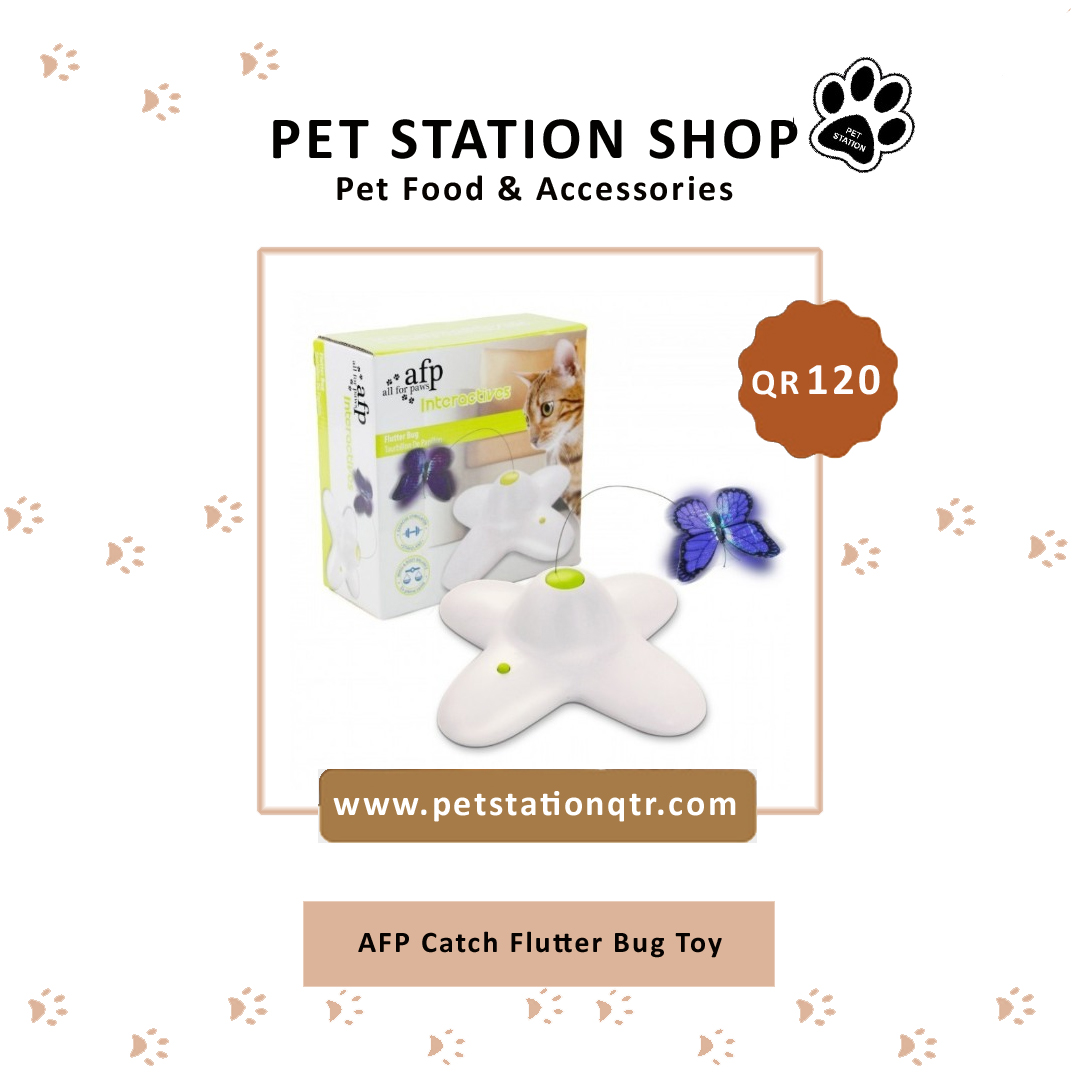 Pet Station – Every thing a Pet Lover Needs